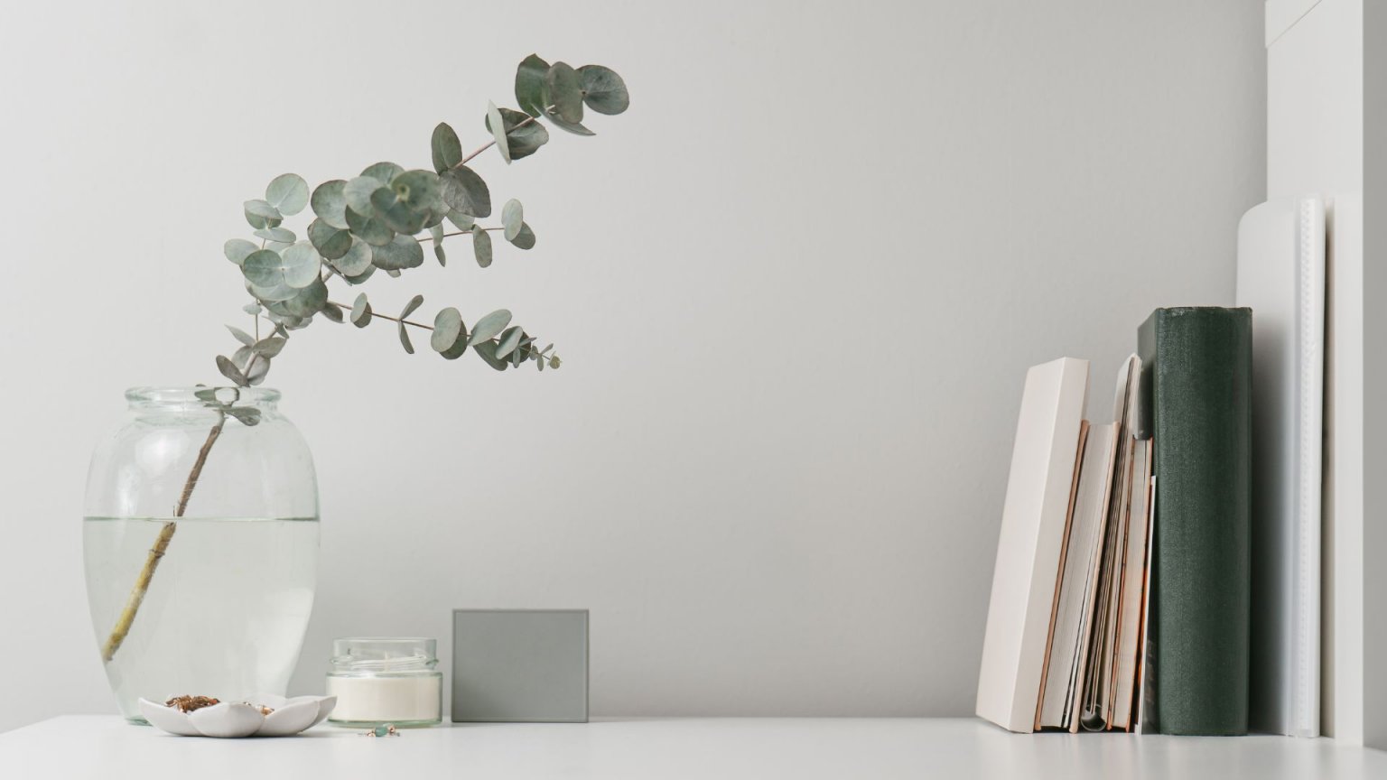 Impulso Visual Plus - andreapapp.com